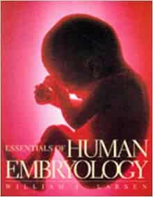 Essentials of Human Embryology: 9780443075148: Medicine & Health ...