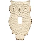 Amazon.com: NITE OWL SWITCH PLATE 3.625x.25x6.25 H (Turquoise): Baby