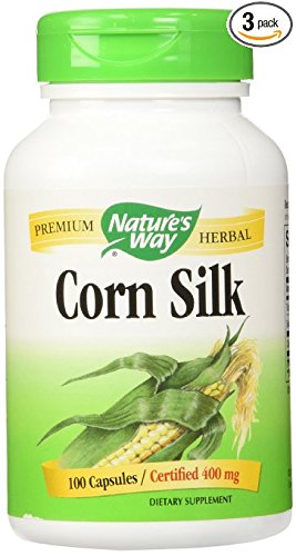 Treating Canine Urinary Incontinence With Corn Silk | PetHelpful