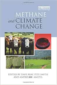 Methane and Climate Change: Reay, Dave: 9781138866935: Amazon.com: Books