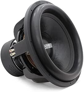 Amazon.com: Sundown Audio X-18 v3 D2 18" 2000W RMS Dual 2-Ohm Subwoofer ...