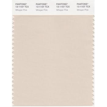 PANTONE Smart 11-0701X Color Swatch Card, Whisper White - House Paint ...