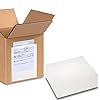 ABC Clear Packing List Envelopes 7x10. Pack of 100 Clear Packing ...