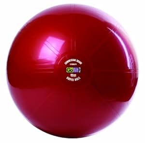 Amazon.com: GoFit 2500lb. Commercial Graded Exercise/Stability Ball ...