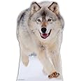 Amazon.com: Wolf - Wildlife/Animal Lifesize Cardboard Cutout / Standee ...