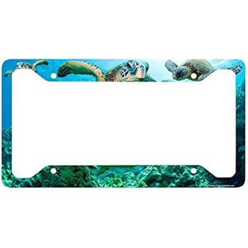 Amazon.com: Sea Turtle License Plate Frame, Stock # 96-03: Automotive