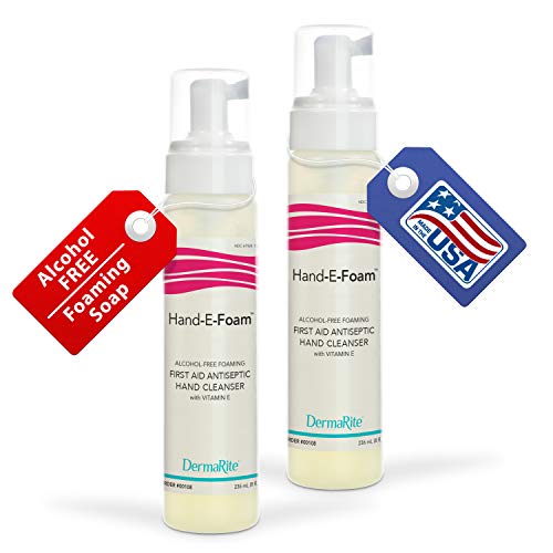 Hand-E-Foam Alcohol Free Foaming Hand Sanitizer Pump, 8 Ounce, 2 Pack ...