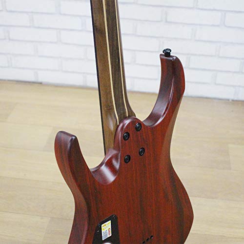 EART EXPLORER-1 Guitarra eléctrica Guitarra eléctrica de cuerpo sólido ...