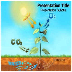 Buy Photosynthesis Powerpoint Templates - Photosynthesis Powerpoint ...