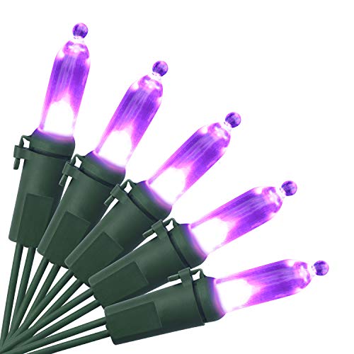 Mr. Christmas Alexa Compatible Light String Add On 100 RGB LED, 40 ...