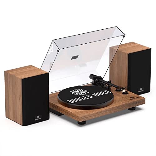 ANGELS HORN Vinyl Record Player, Hi-Fi System Bluetooth Turntable ...