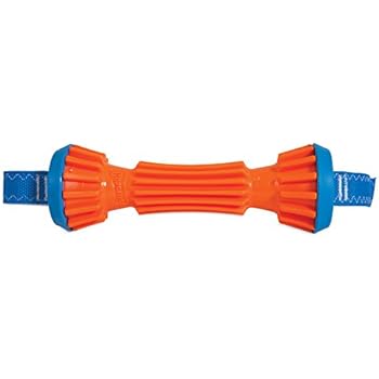 Amazon.com : Chuckit! Rugged Bumper Dog Toy, Small : Pet Supplies