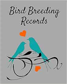 Bird Breeding Records: 100 templates log book for birds ,notebook ...
