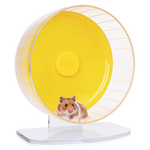 The Best Hamster Wheels - Dogtime