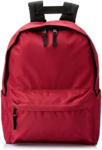 Amazonbasics Classic School Backpack - Red price in UAE | Amazon UAE ...