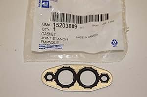 Amazon.com: General Motors 15203889, Engine Oil Cooler Gasket: Automotive