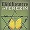 Amazon.com: Wildflowers of Terezin (9781426701924): Robert Elmer: Books