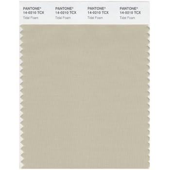 PANTONE Smart 14-0210X Color Swatch Card, Tidal Foam - House Paint ...