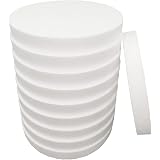 Amazon.com: 6 Inch 10-Pack Foam Circles for Crafts (1" Thick ...
