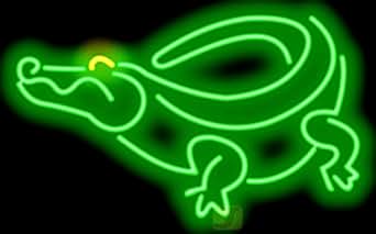 Alligator Neon Sign - - Amazon.com