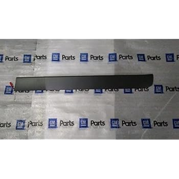 Amazon.com: Genuine GM 20816961 Door Molding, Front, Lower: Automotive