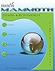 Math Mammoth Grade 4-B Worktext in Kuwait | Whizz Arithmetic