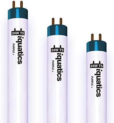iQuatics Aquarium Tropical Fish Tank Fluorescent Light Bulb T5 (3 Pack ...