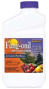 Amazon.com : Fung-Onil Multi-Purpose Fungicide Concentrate ...