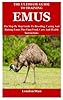 The Ultimate Guide To Training Emus: The Step By Step Guide To Breeding ...