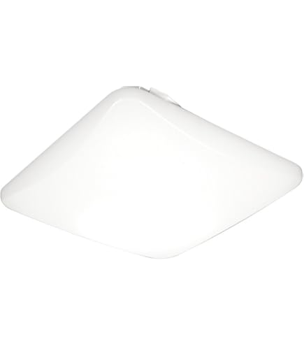 Lithonia Lighting White Acrylic Diffuser Lithonia | Flourolite
