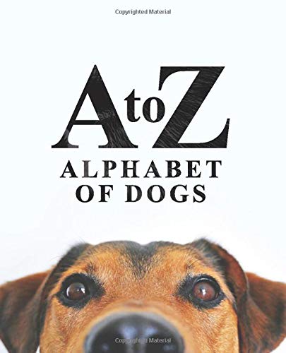A to Z Alphabet of Dogs: The photographic picture book featuring dogs ...