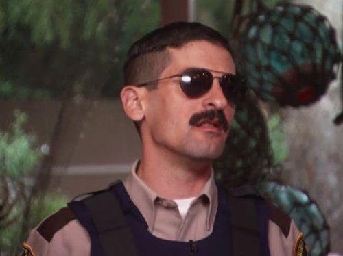 Watch Reno 911! - Season 6 | Prime Video