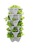Mr. Stacky - Vertical 5-Tier Strawberry / Herb / Flower Planter