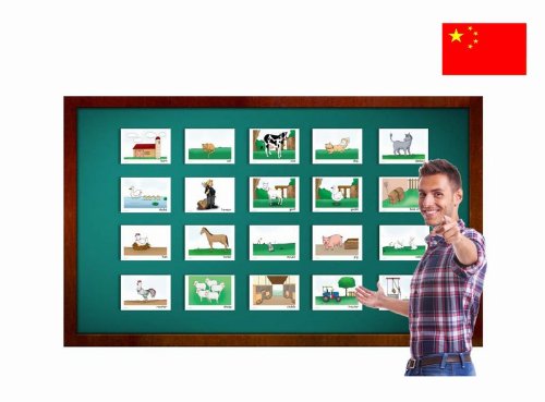 Buy Farm Animal Flashcards in Chinese - Mandarin Vocabulary Picture ...