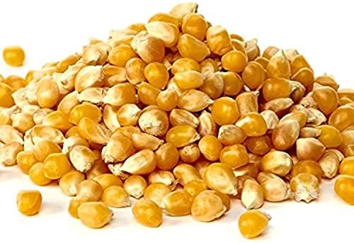 MUGO LAND Popcorn - 3K price in Saudi Arabia | Amazon Saudi Arabia ...