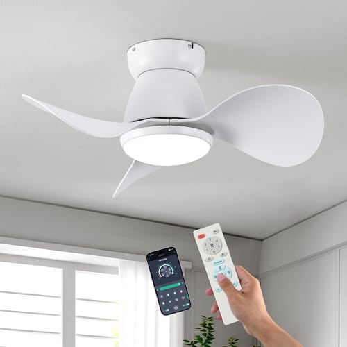 Yfrest Ceiling Fans with Lights and Remote, Modern Low Profile Ceiling ...