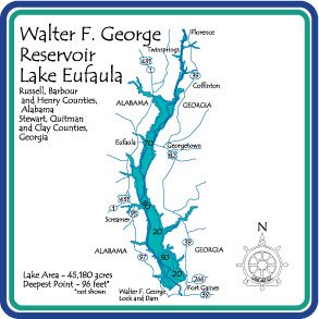 Amazon.com : Walter F George Reservoir Floor Mat - Lake Gift - Lake ...
