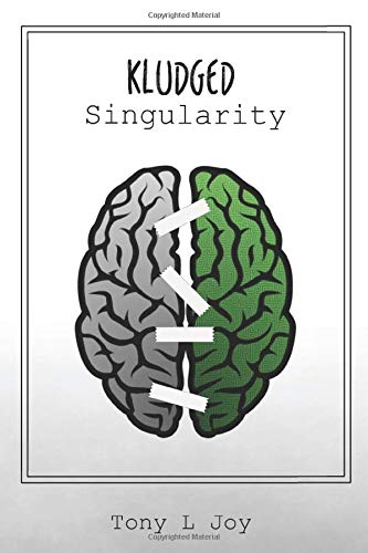Publication: Kludged Singularity