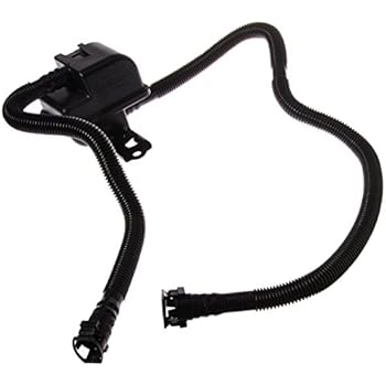 Amazon.com: Genuine Toyota (77706-42010) Vapor Canister Filter: Automotive