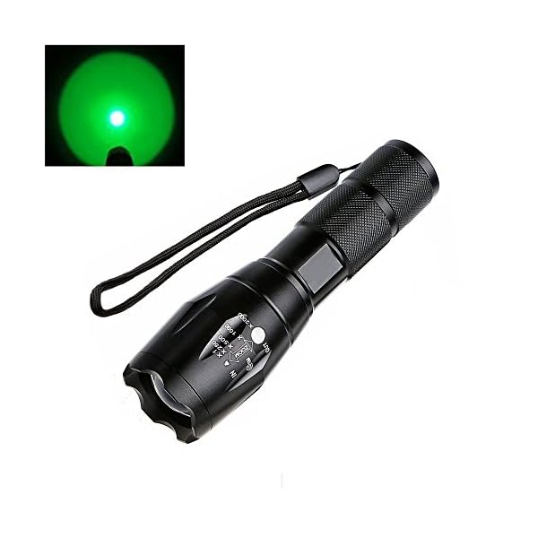 BESTSUN 350 Yards Predator Light Zoomable Tactical Hunting Led ...
