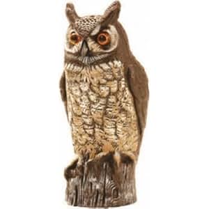 Amazon.com : Owl Hidden Camera/dvr Battery Operated Nightvision with 6 ...