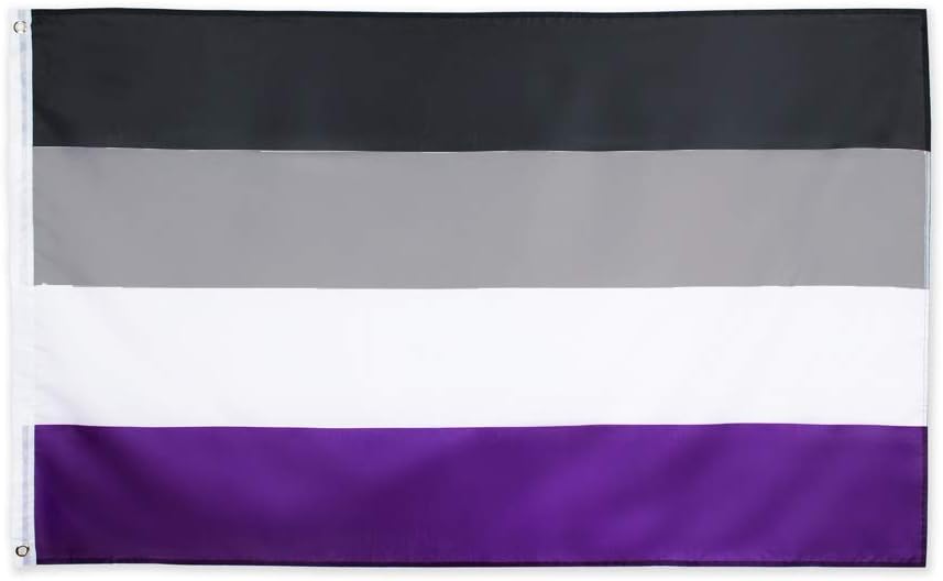Amazon.com : JOHNIN 3x5 Ft LGBT Asexuality Flag - Double Side Color ...