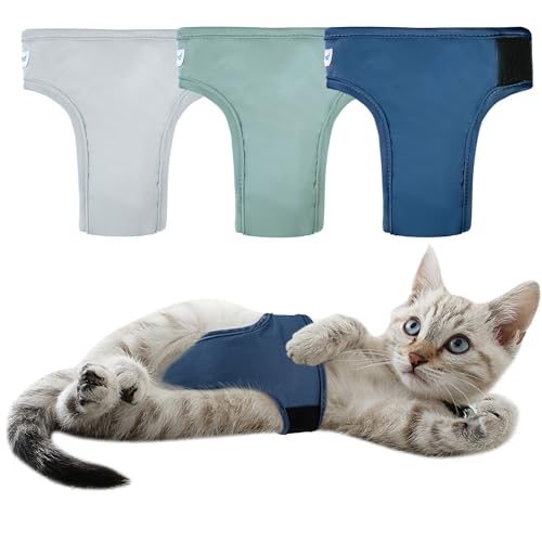 Paw Legend Cat Diapers for Male Cats Spraying Washable Reusable Kitten ...