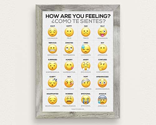 Amazon.com: How Are You Feeling Emoji Feelings Bilingual English ...