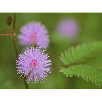 Touch Me Not - downvfile