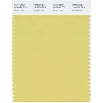 PANTONE Smart 13-0000X Color Swatch Card, Moonbeam - House Paint ...