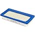 Amazon.com : Briggs & Stratton 691643 Flat Air Filter Cartridge : Lawn ...