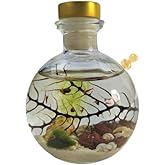 Amazon.com : EcoSphere Closed Aquatic Ecosystem, Small Water Drop : Pet ...