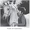 The Classic Arabian Horse: Judith Forbis: 9780871406125: Amazon.com: Books