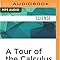 Tour of the Calculus, A: David Berlinski, Dennis Holland: 9781536665451 ...